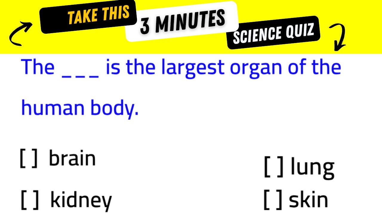 3 Minutes Grade 6 Science Quiz The Skin YouTube 3-minutes-grade-6-science-quiz-the-skin-youtube