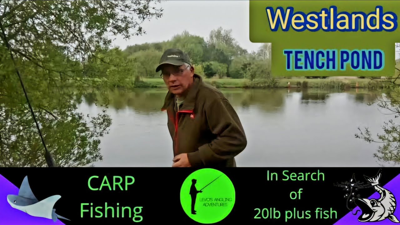 Westlands Tench Pond in Search of a 20lb Carp - YouTube