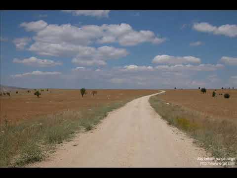 Tagi Saleoglu - Bu Dunya Yalan Dünya