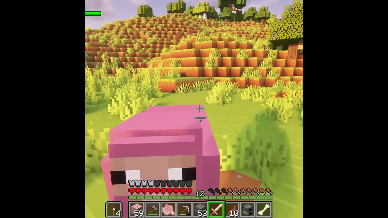 natural pink sheep #video - YouTube