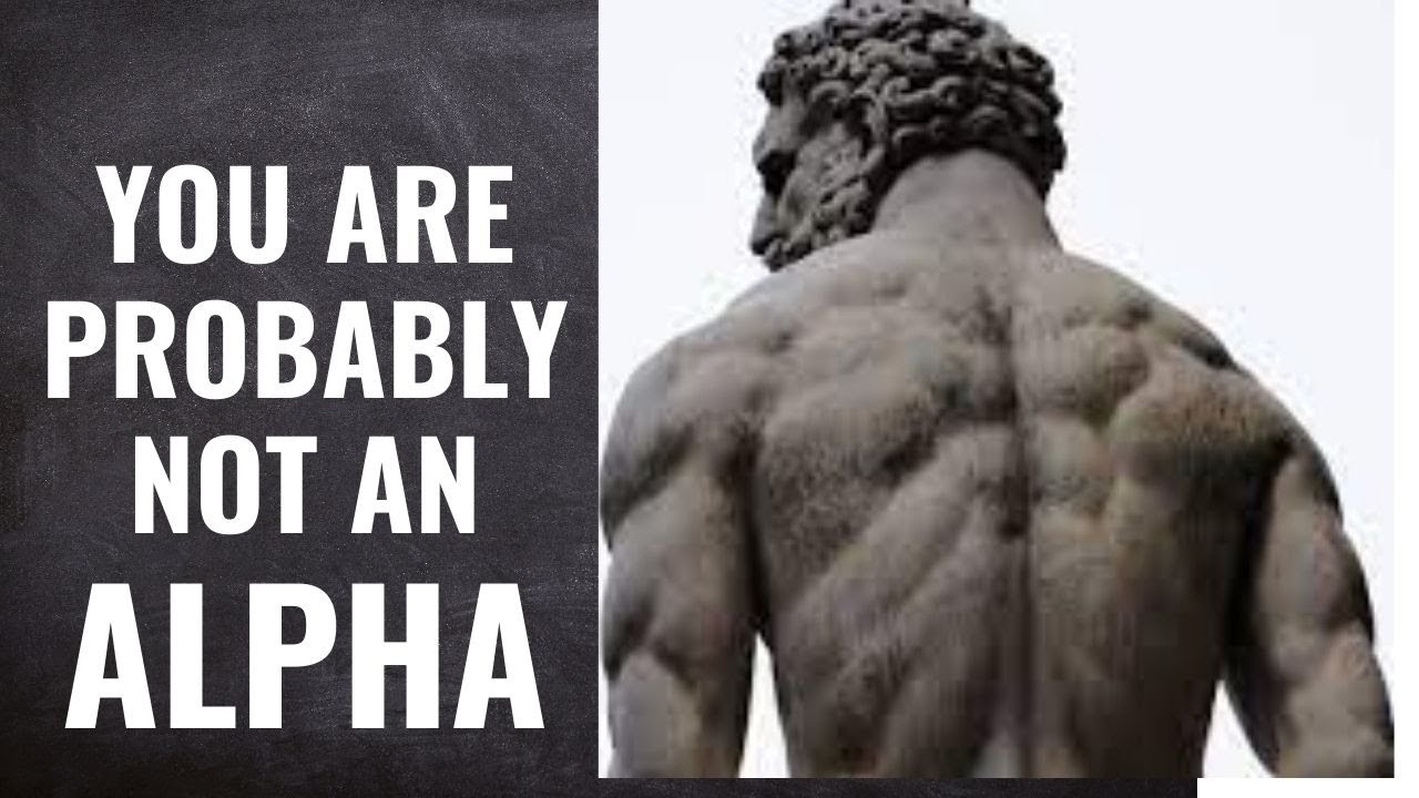 You Are Probably Not An Alpha - YouTube