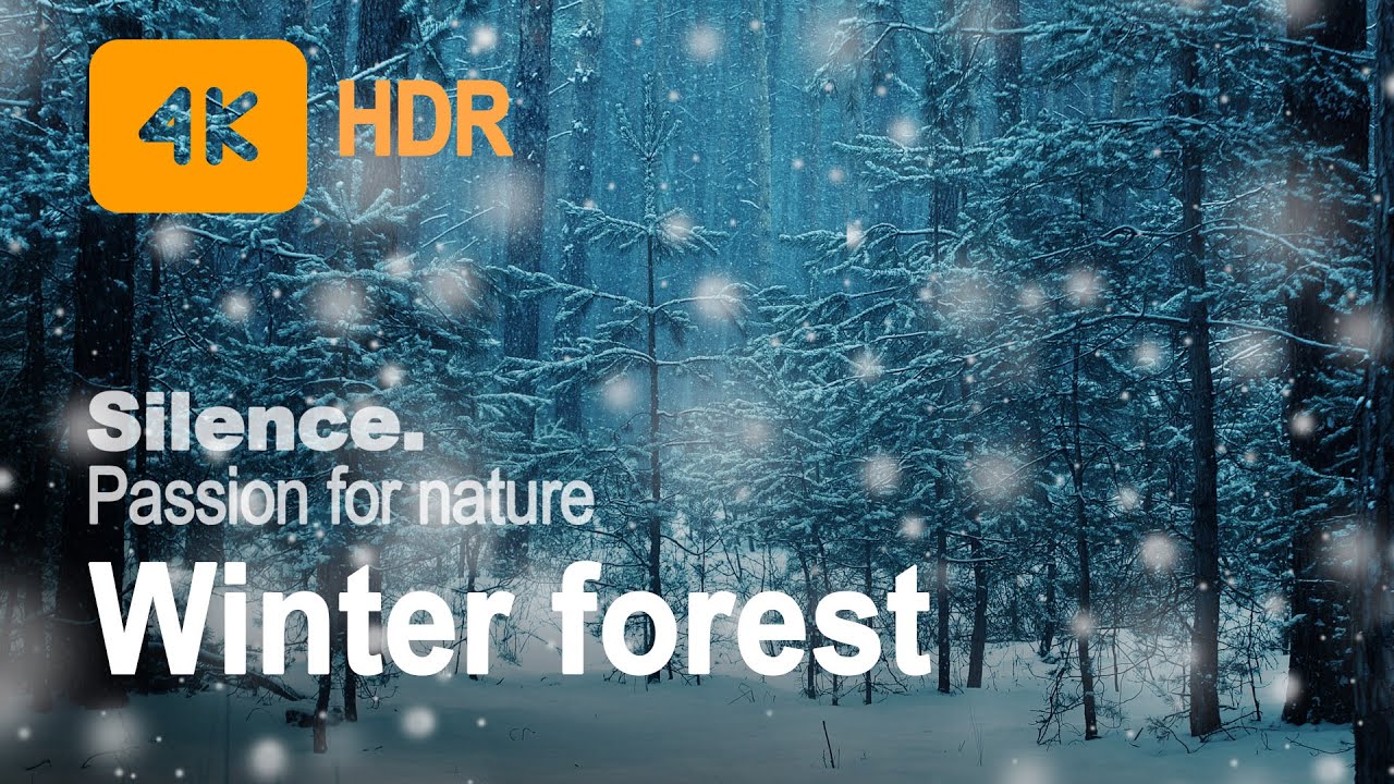 ️ Snowfall 1 Hour 🌲 ️🌲 - sound for sleep - 🌲 ️[Silence. Passion for ...