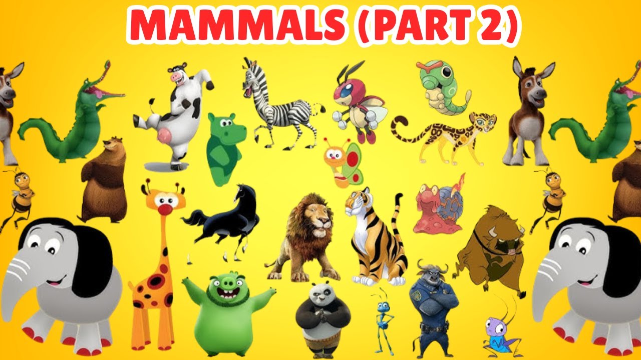 Learn New Mammals Part 2 | Learn 10 Amazing Animals for Kids 🐼🐪 | Fun ...