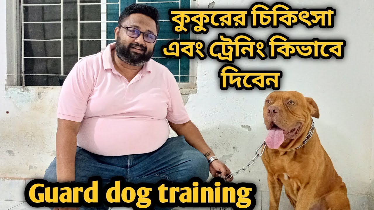 Dog treatment | Dog training | How to train your dog | Dog farm in ...