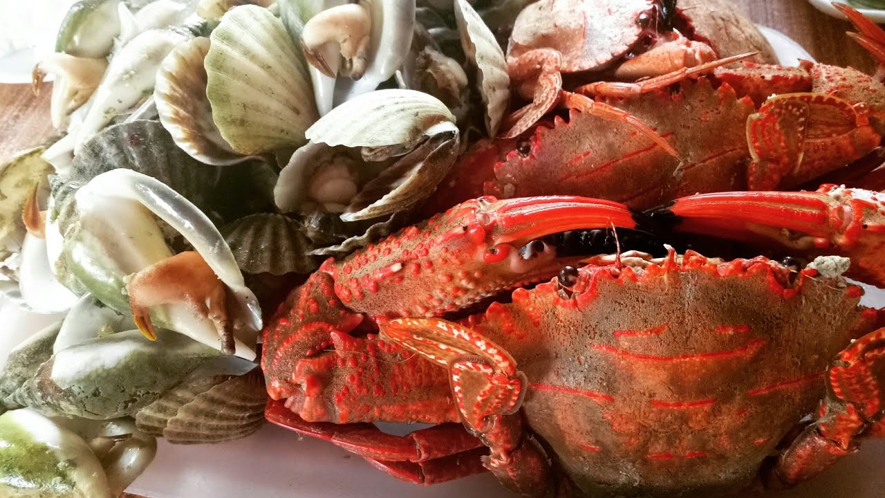 Bantayan Island | Island life in Philippines🌴🍸🐚 - YouTube