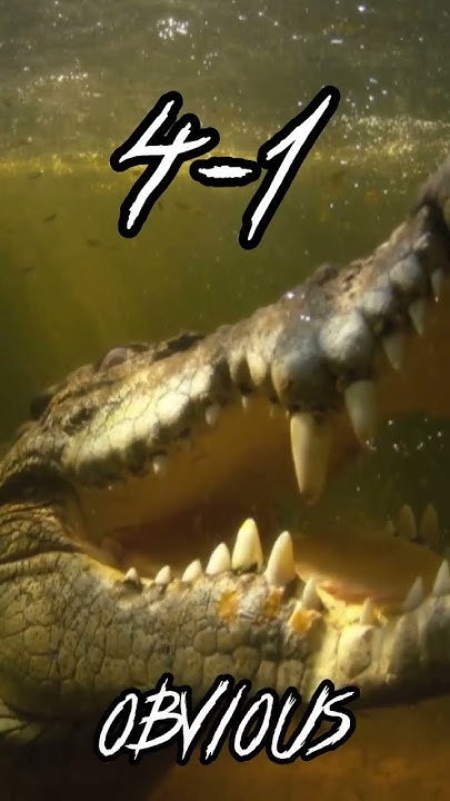 Saltwater Crocodile vs Green Anaconda #debate #whoisstrongest # ...