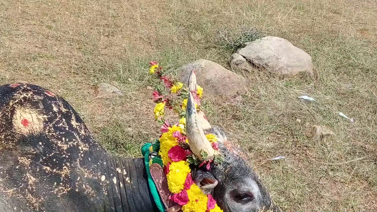 SV MANGALAM sairam - YouTube