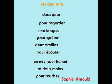 Les cinq sens (CP) : deux yeux pour regarder - YouTube