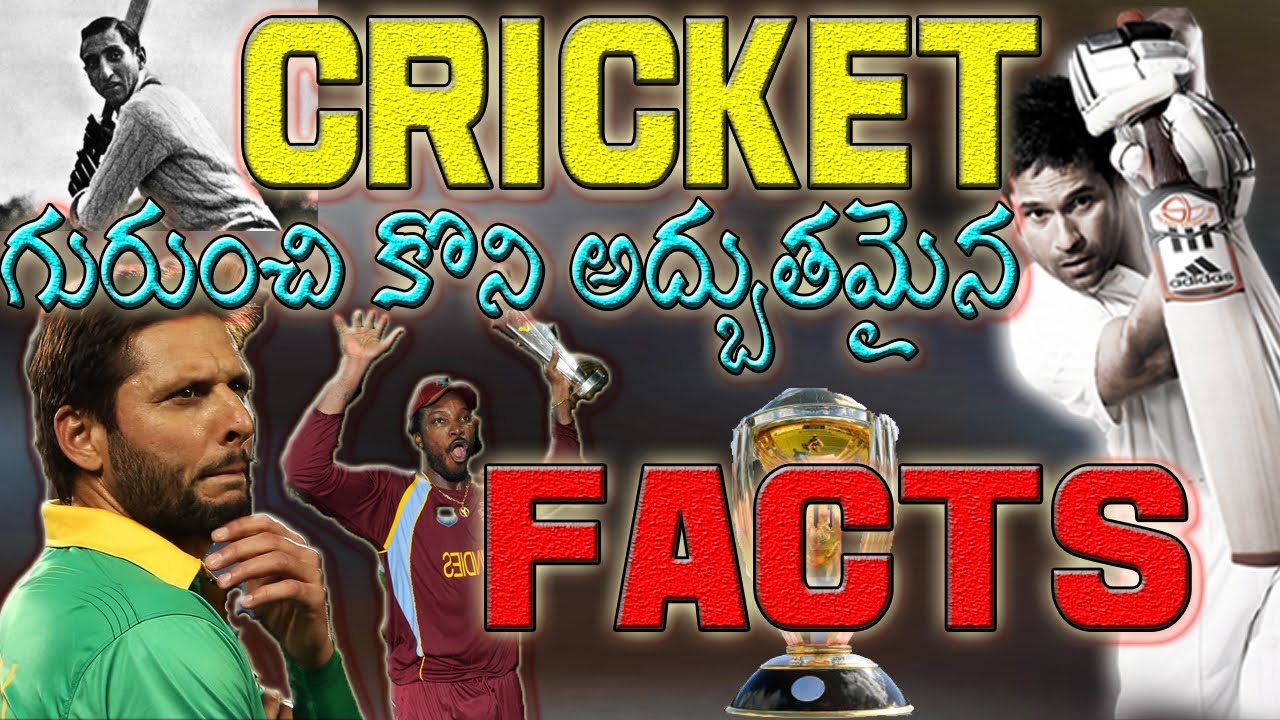 Cricket Facts Facts About Cricket Interesting Facts About Cricket In cricket-facts-facts-about-cricket-interesting-facts-about-cricket-in