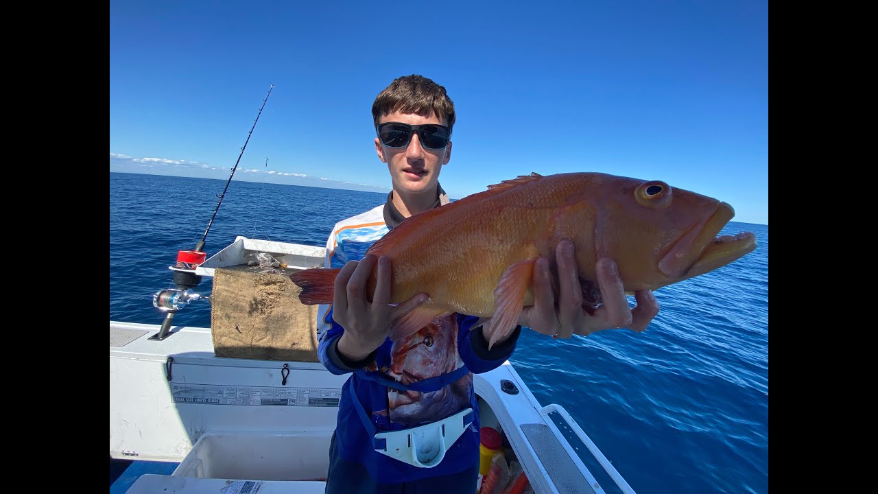 Glammer day out. Perth metro fishing [pink snapper, gummy sharks ...