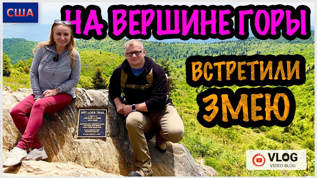 Покорили вершину горы и встретили змею Новые места и виды на миллион