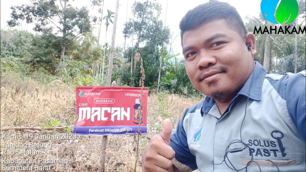 HERBISIDA CAP MACAN 338 SL - YouTube
