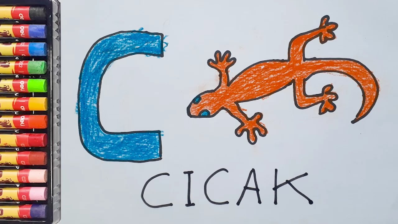 Huruf C - Cicak Menggambar dan mewarnai - YouTube