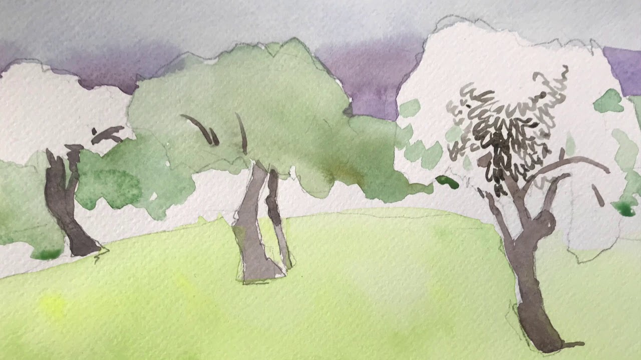 Olive Grove sketch - YouTube