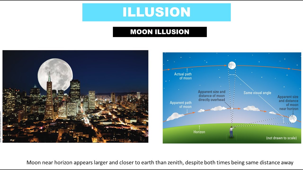 Perception Constancy and Illusion [Part 3] - YouTube