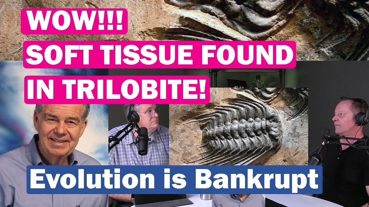 Gopherwood, Dino Soft Tissue, & Paluxy with Dr. Carl Baugh - YouTube