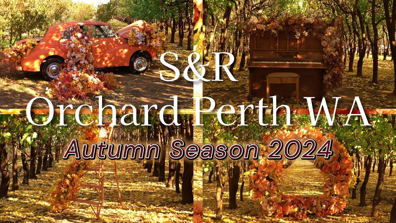 Autumn Colour Part Two, S&R Orchard Perth WA, Autumn 2024 - YouTube