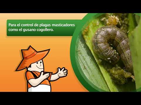 Cyperpac - Insecticida Agrícola - Agripac
