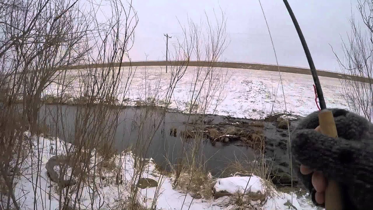 Trout Fishing at the Kanopolis Seep Stream January 2016 - YouTube