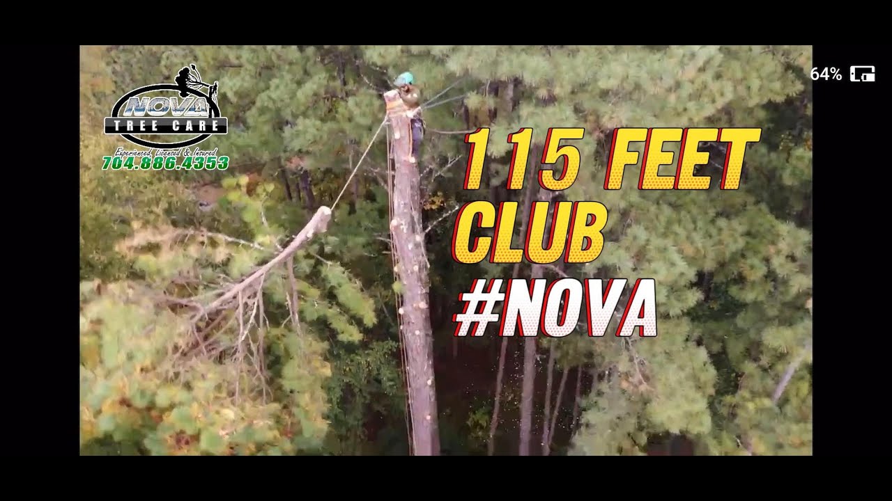 Nova Tree Care 5 tree removal - Alex - YouTube