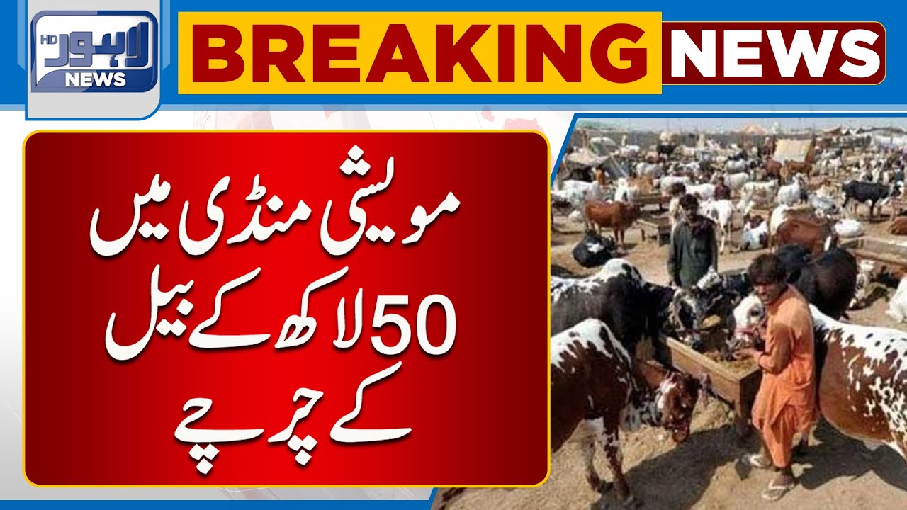 Cattle Market Main 50 Lakh Kay Bail Ki Dhoom | Lahore News HD - YouTube