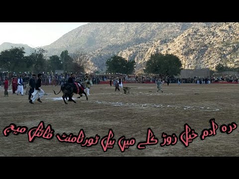 Football Final Match | ZK Ground Dara Adam Khel | T.W Stars V.S Mushtarika Akhwarwal |