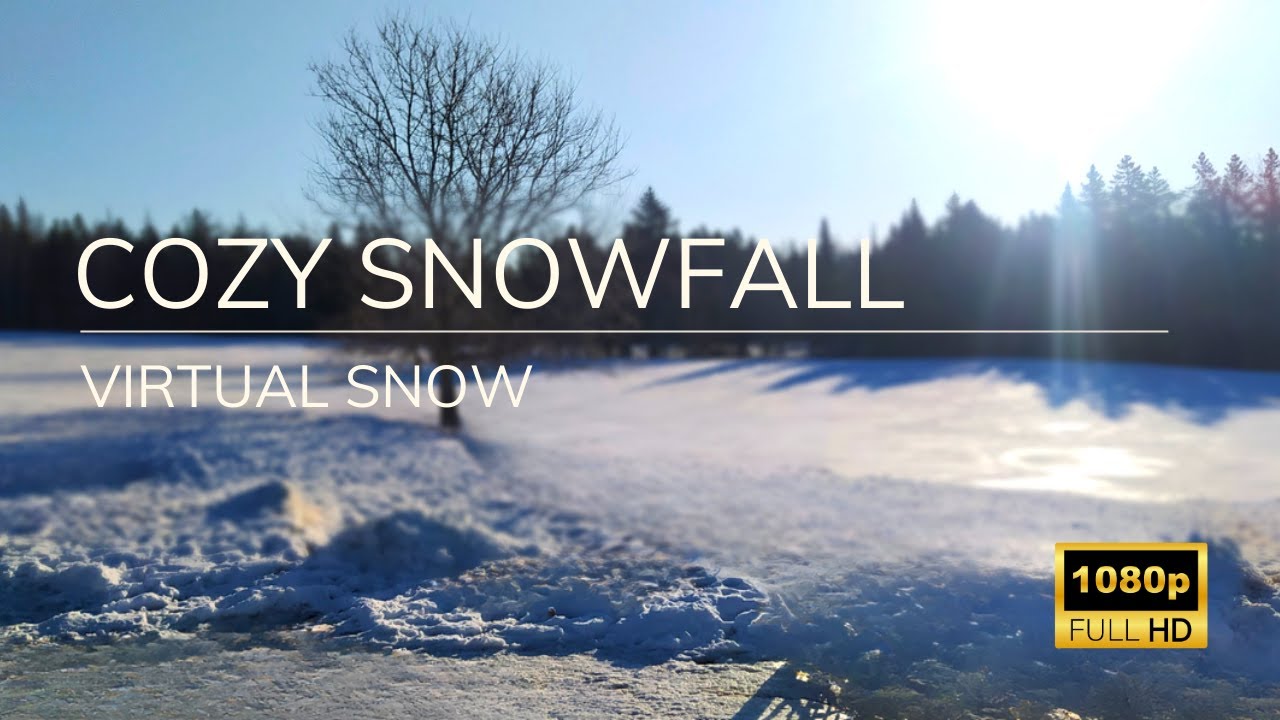 Cozy Winter Ambience: Snowfall and Sounds of Snow | White Noise | Snow ...