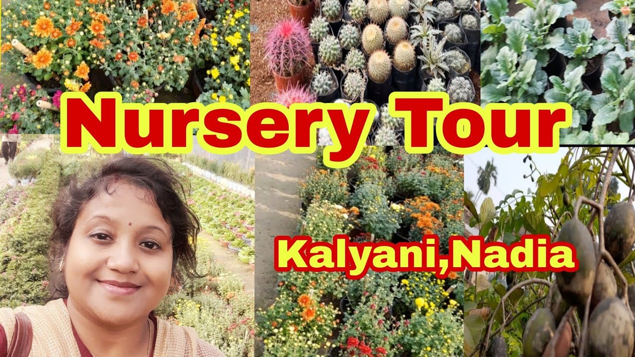 Nursery Tour - Beautiful Nursery in Kalyani || Plant Nursery Visit ...
