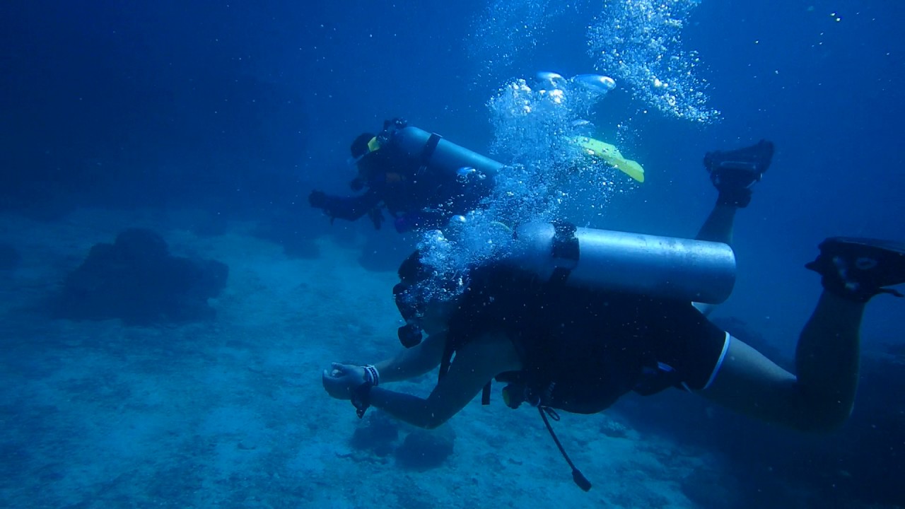 force fin for test - YouTube