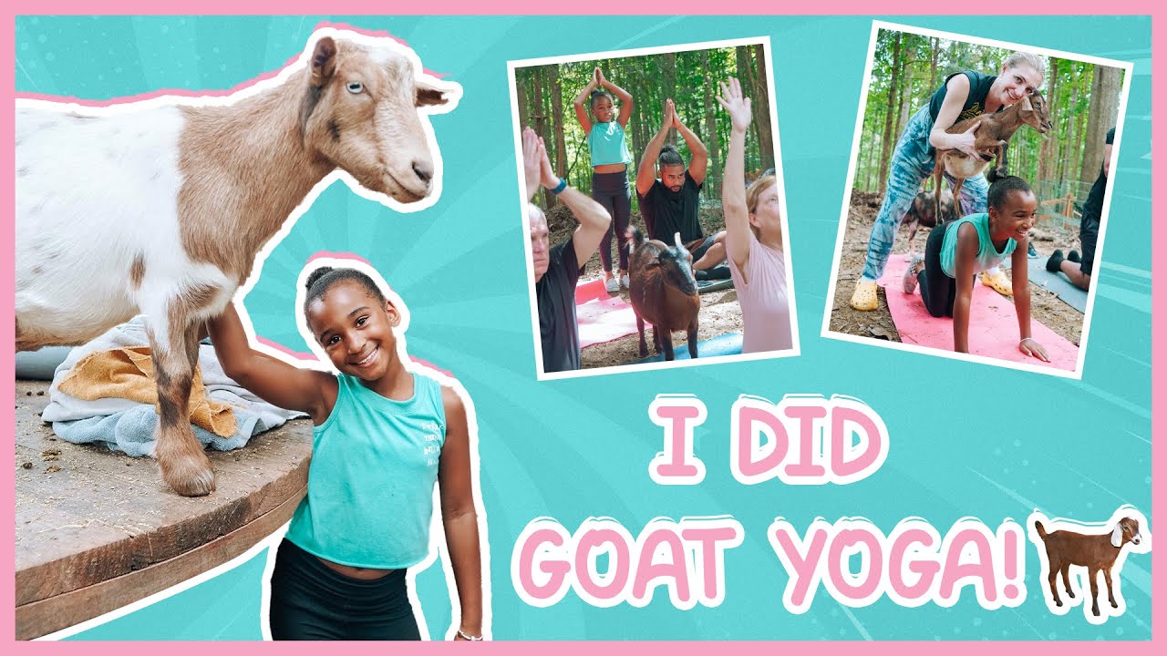 DOING GOAT YOGA FOR THE FIRST TIME 🐐😳 - YouTube