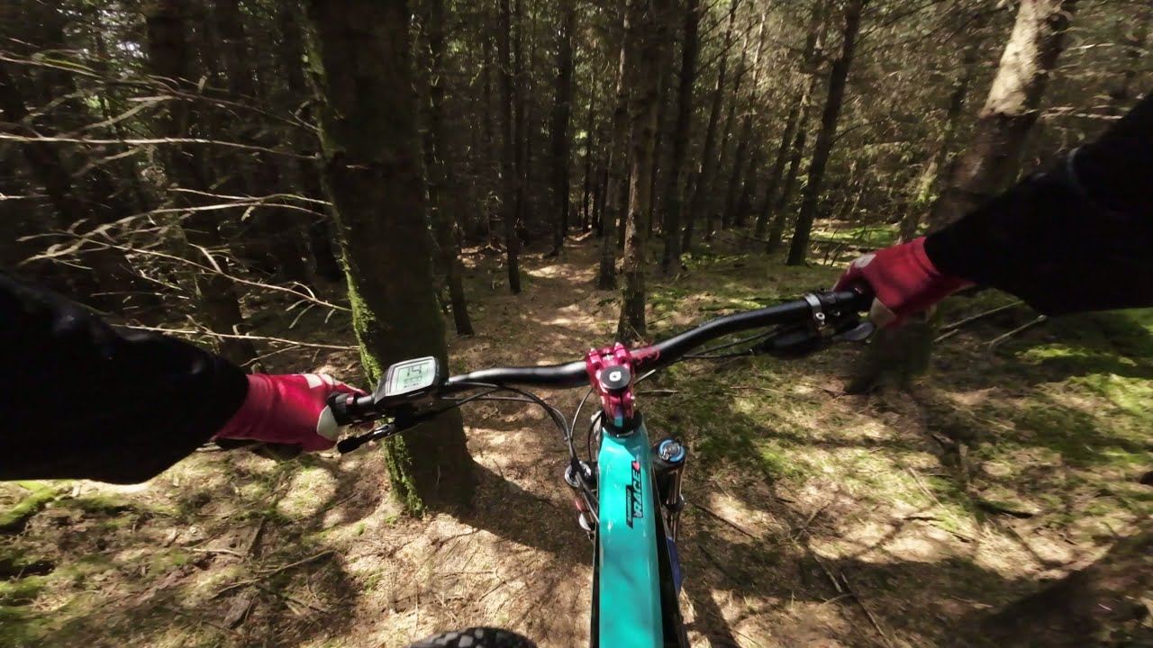 Near Annamoe Trail 1 - YouTube