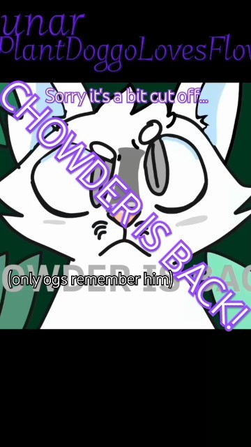 Do you guys remember Chowder? #music#tweening#flipaclip#animationmeme#animation#cat# ...