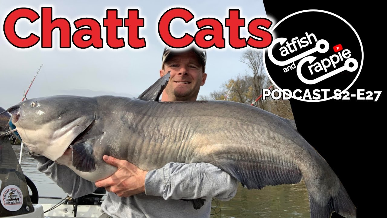 Chatt Cats - Joe Jellison - Fishing Podcast s2 - e27 - YouTube