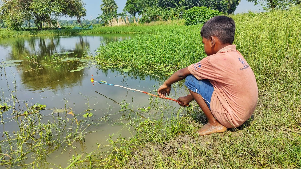 Amazing Fishing Videos 💥💥 Traditional Boys Catching Fish By Bamboo ...