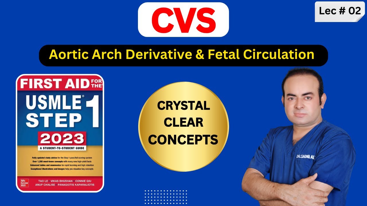 CVS - Aortic Arch Derivative & Fetal Circulation | First Aid USMLE Step ...