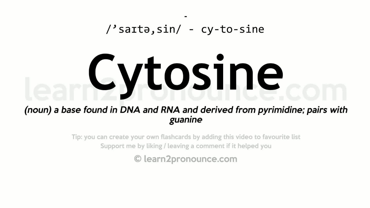 Cytosine Definition