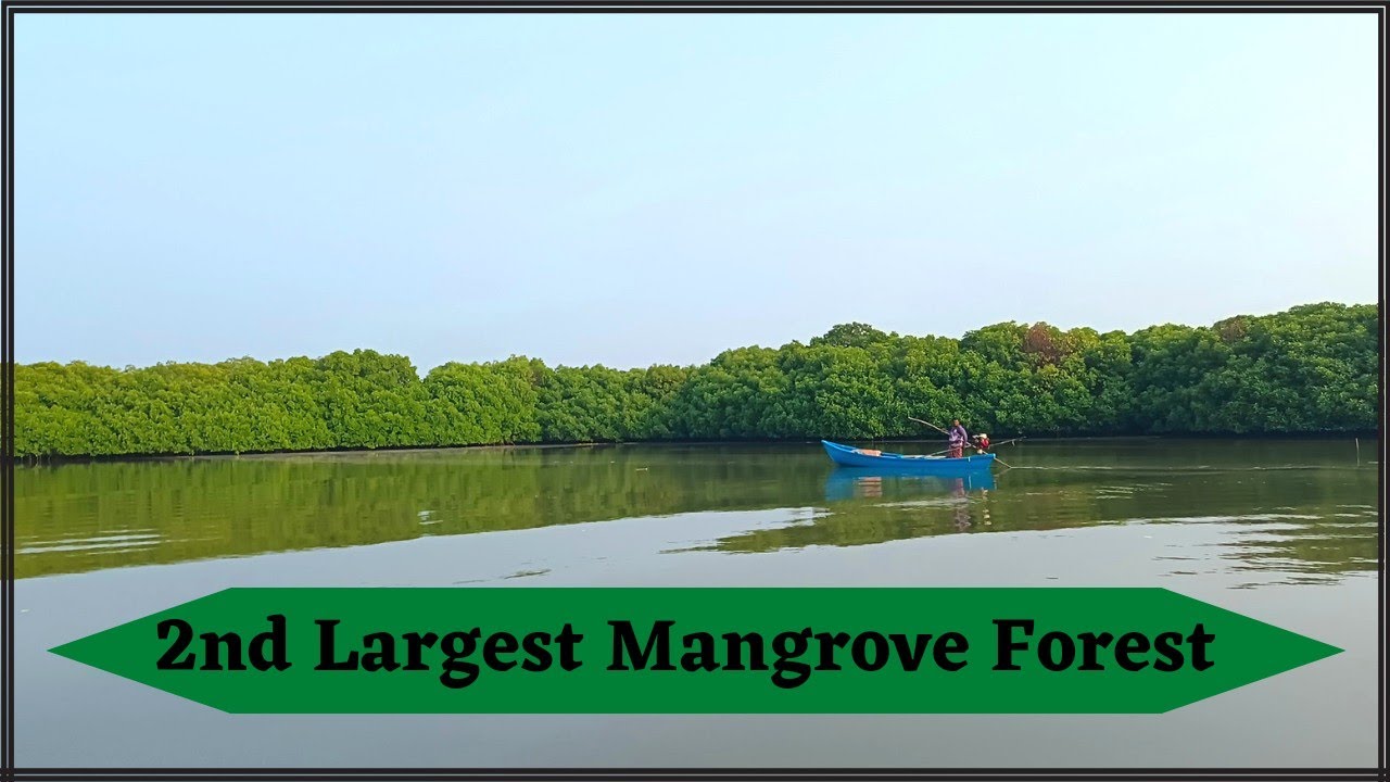 Pichavaram Mangrove Forest Full Vlog || World's 2nd Largest Pichavaram ...