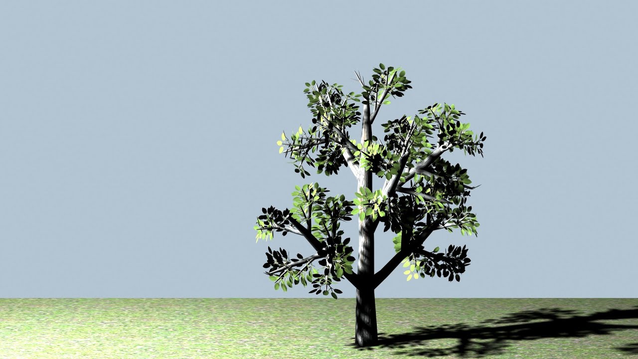 Modeling a tree in 3D max part 2 - YouTube