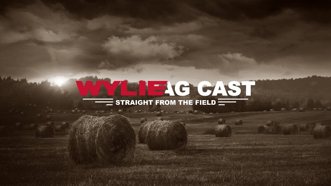 Behind The Brand with Cody West | The Wylie AgCast - YouTube