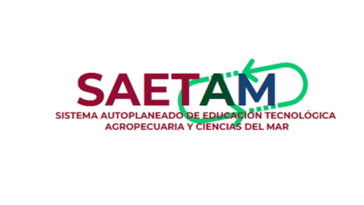 Recuerdo de egresados de la modalidad Saetam Generación 2017-2020 y ...