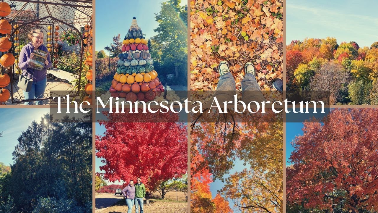 Our Day at the Arb | A Look at the Minnesota Arboretum 🌳 - YouTube