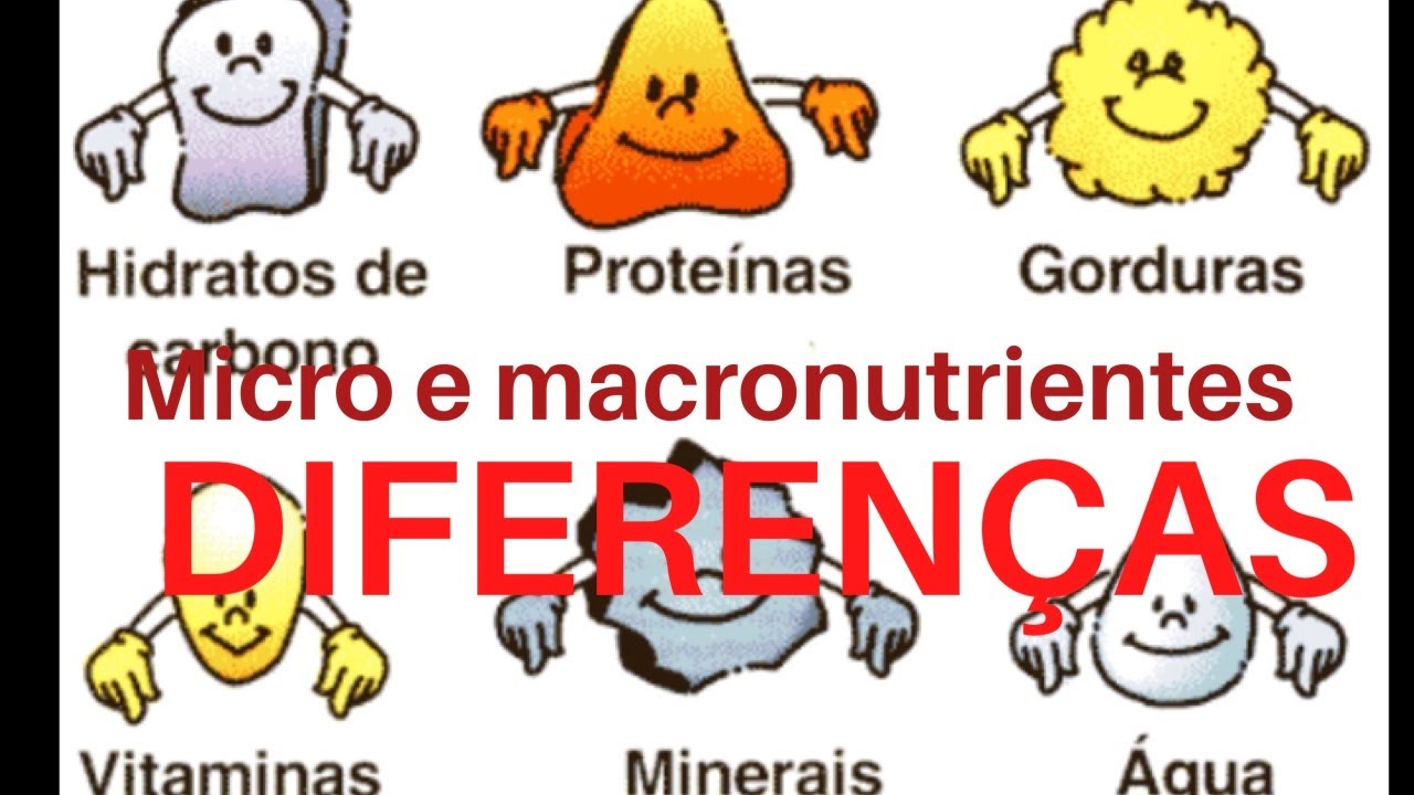 Qual A Diferença Entre Macro E Micronutrientes Qual A Diferença Entre Macro E Micronutrientes
