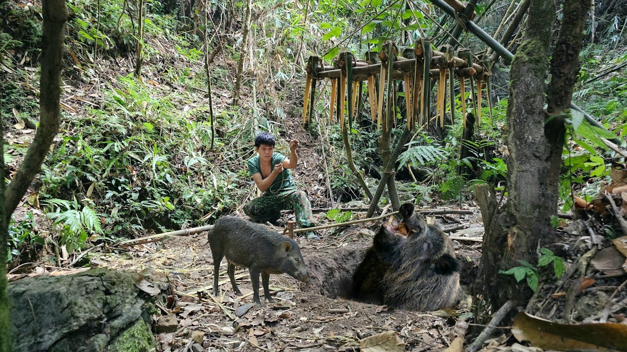 Meet wild animals, follow their tracks, set traps, observe at night ...