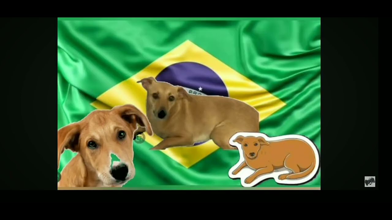 tropa caramelo música fake só para avisar é minha - YouTube