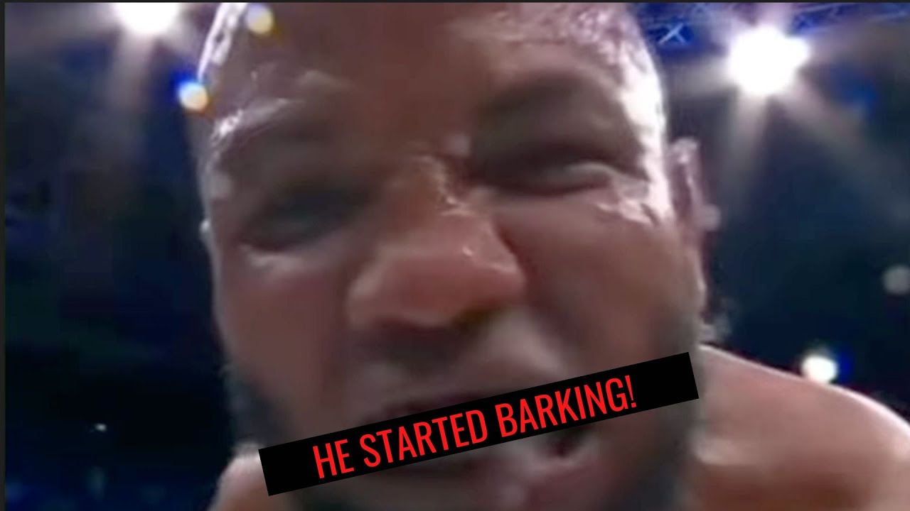Yoel Romero starts BARKING after Viciously KO´ing Melvin Manhoef ! - YouTube