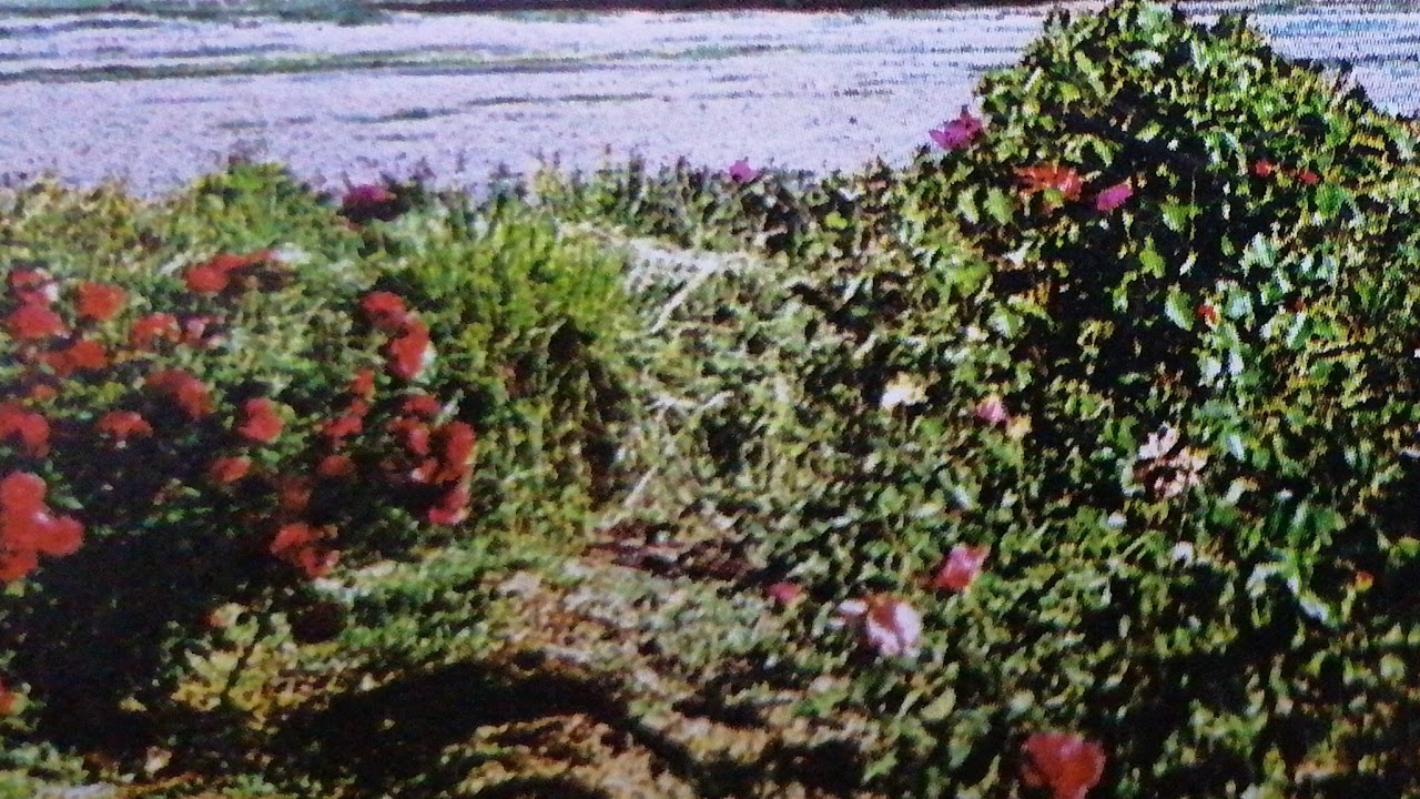 Live streaming of Mathsup by abdo * la chaine des maths pures - YouTube