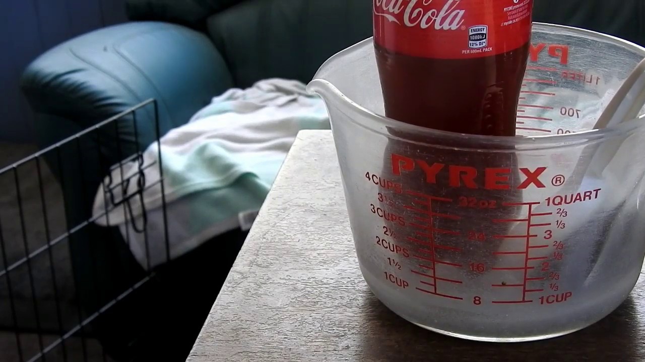 Left My Tooth In Coca Cola For 2 Years - YouTube