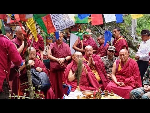 Nechung Kuten | Oracle Visited Pangchen Valley | Holy Tree of His ...