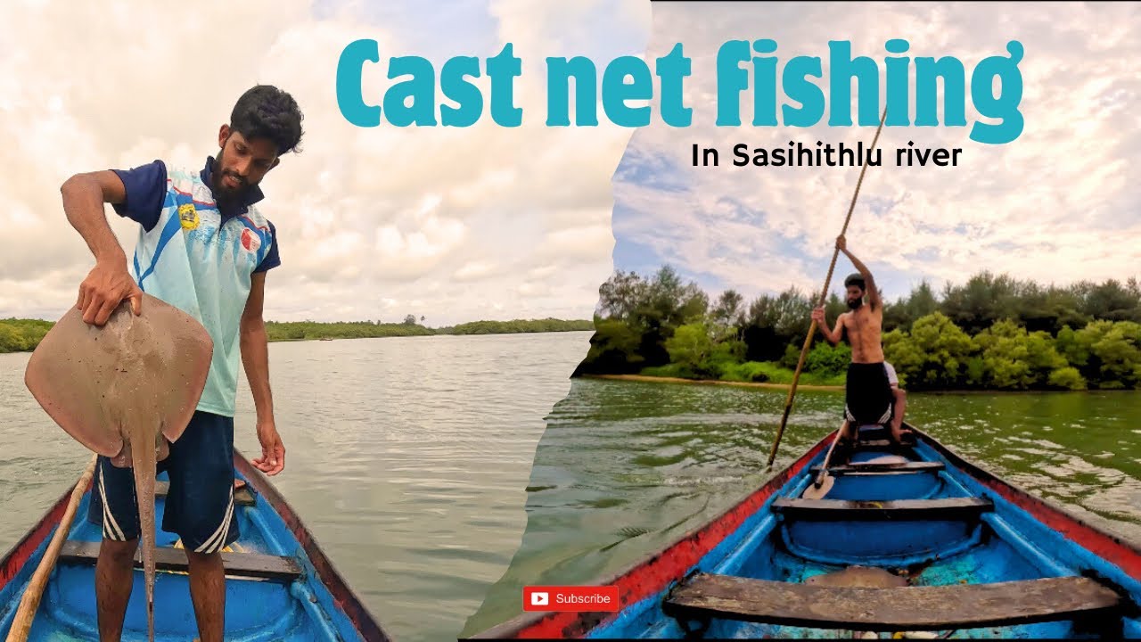 CAST NET FISHING IN SASIHITHLU RIVER🐟 - YouTube