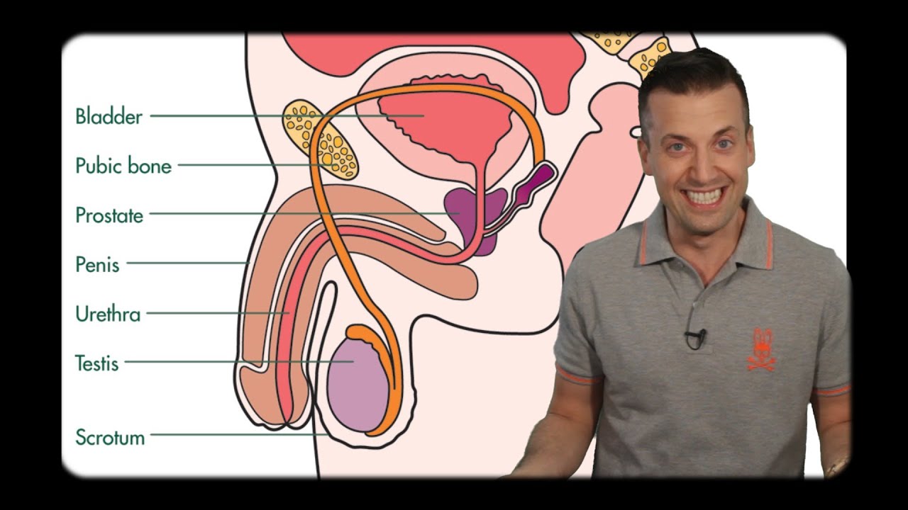 Todays Web Trends Is George Clooneys Scrotum Surgery Right For You